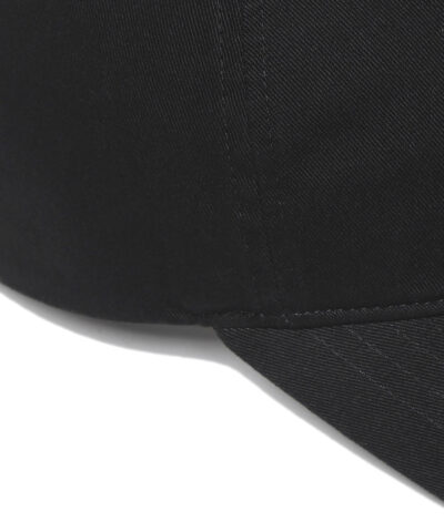 BASIC LOGO BALL CAP - BLACK - Superdry